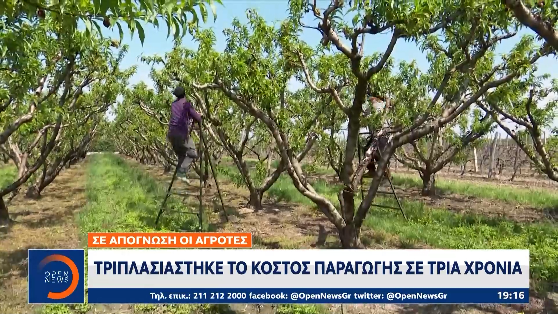 Σε απόγνωση οι αγρότες: Τριπλασιάστηκε το κόστος παραγωγής σε τρία ...