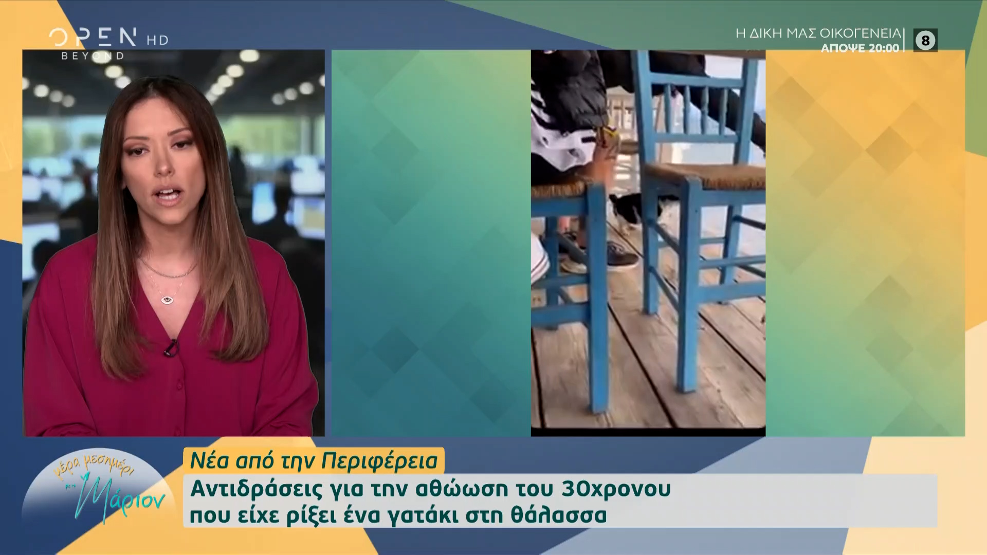 Αιδηψός: Αντιδράσεις για την αθώωση του 30χρονου που είχε ρίξει γατάκι ...