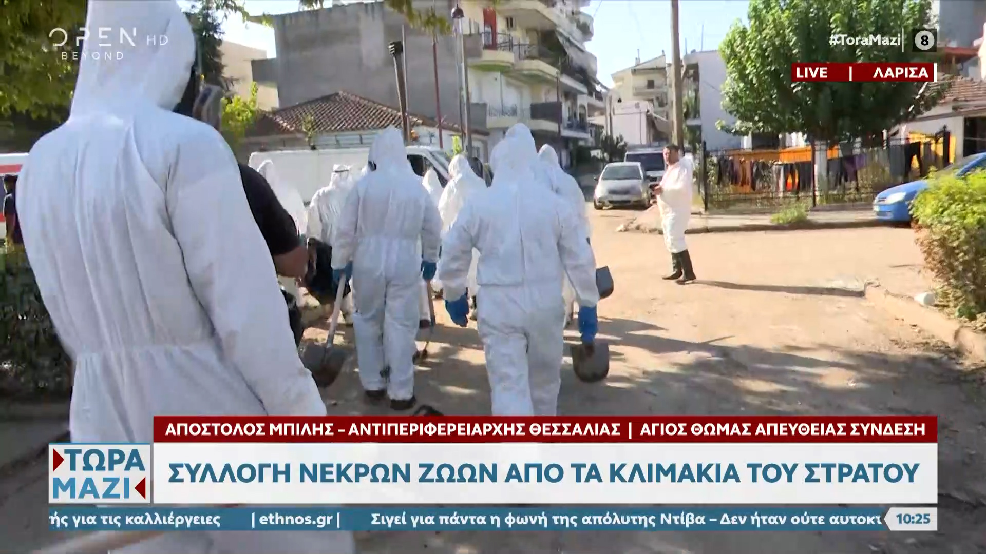 Συλλογή νεκρών ζώων από τα κλιμάκια του στρατού | OPEN TV
