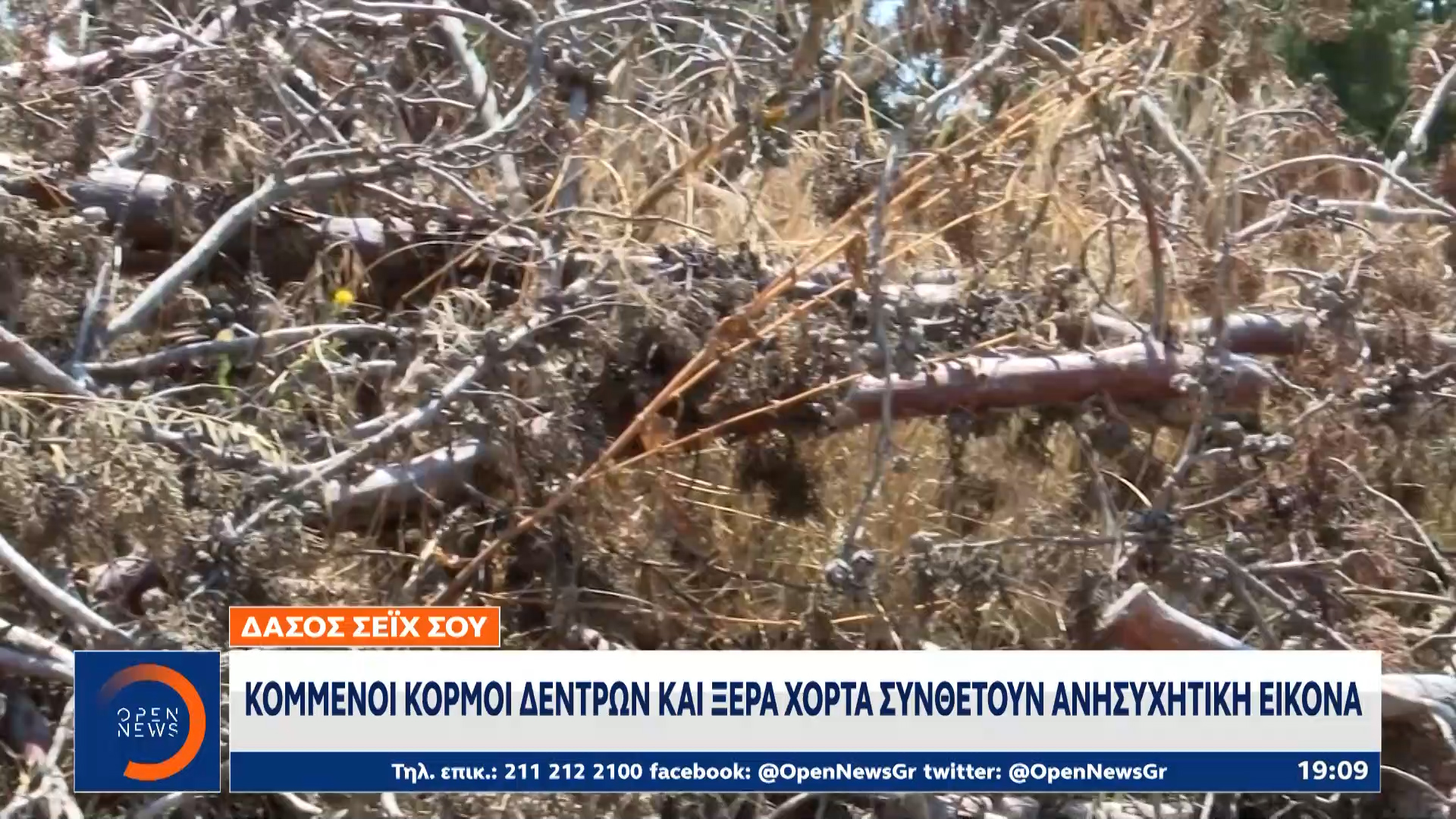 Δάσος Σέιχ Σου: Κομμένοι κορμοί δέντρων‎ και ξερά χόρτα συνθέτουν ...