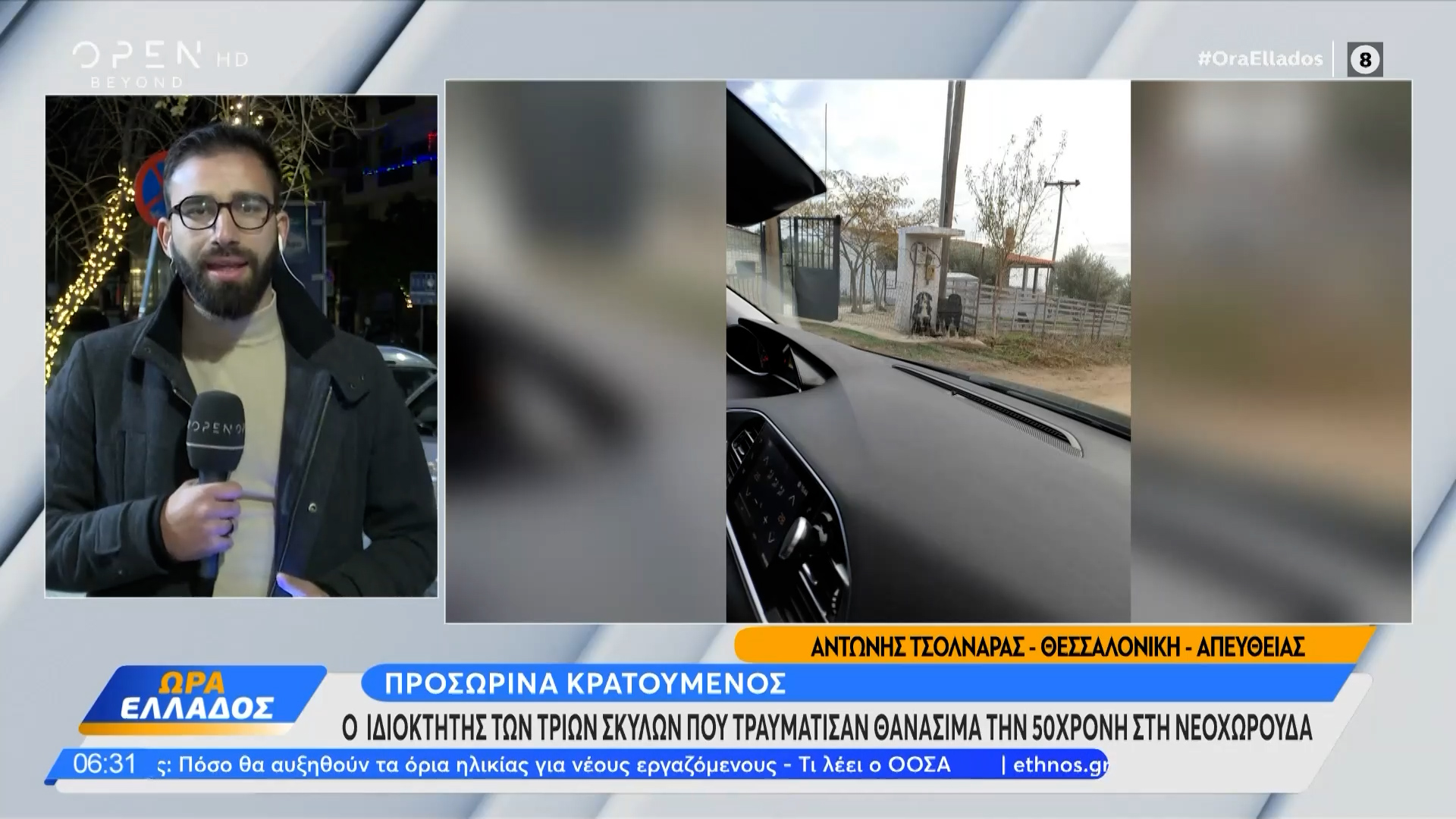 Προσωρινά κρατούμενος ο ιδιοκτήτης των τριών σκύλων που τραυμάτισαν ...