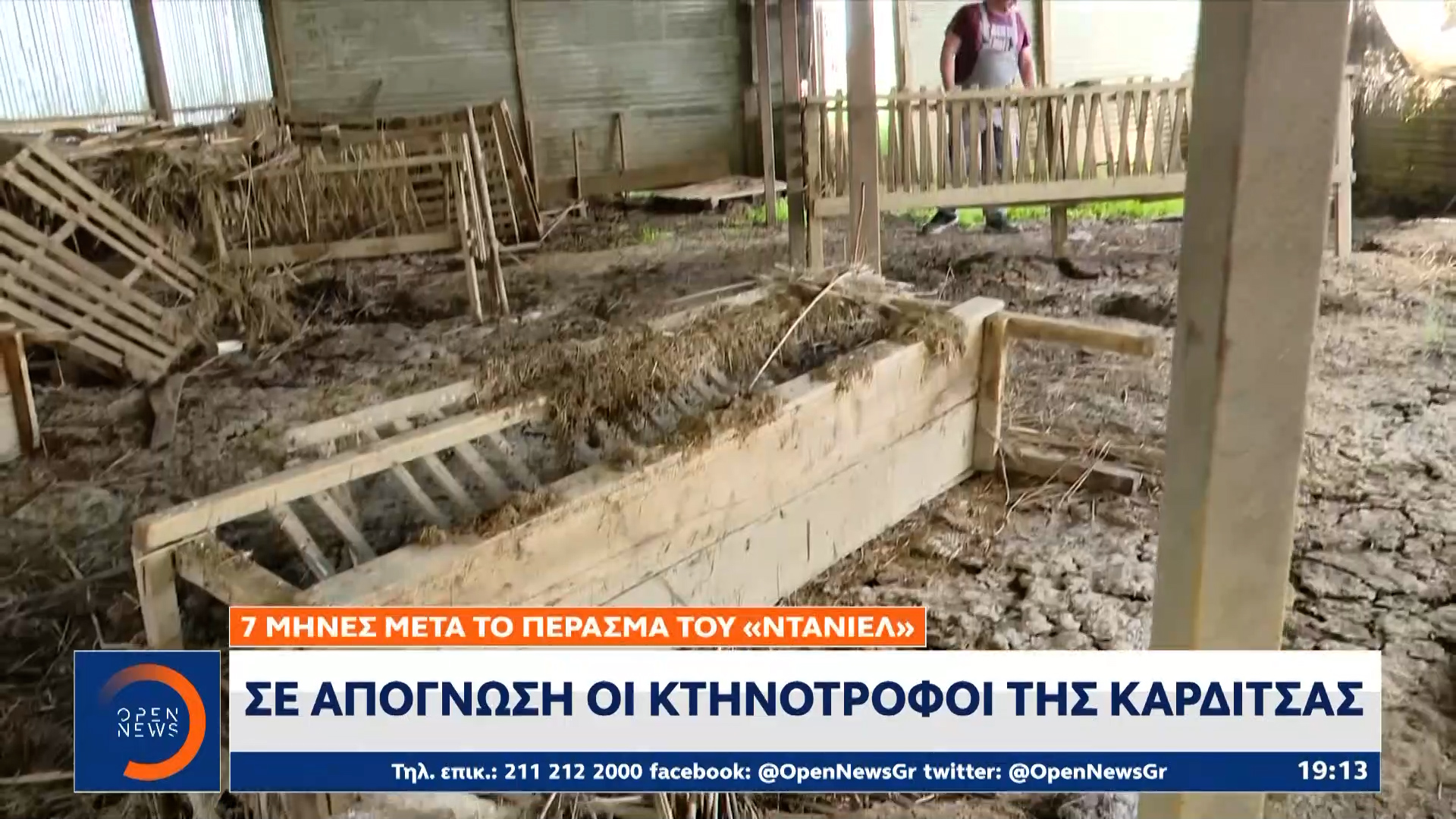 Πλημμύρες Ντάνιελ: Σε απόγνωση οι κτηνοτρόφοι της Καρδίτσας | OPEN TV