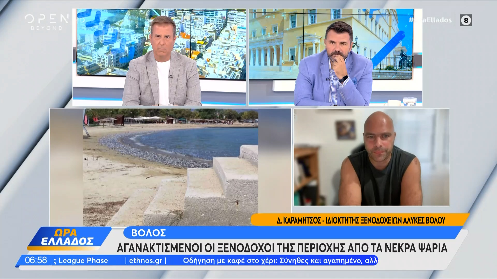 Βόλος: Αγανακτισμένοι οι ξενοδόχοι της περιοχής από τα νεκρά ψάρια ...