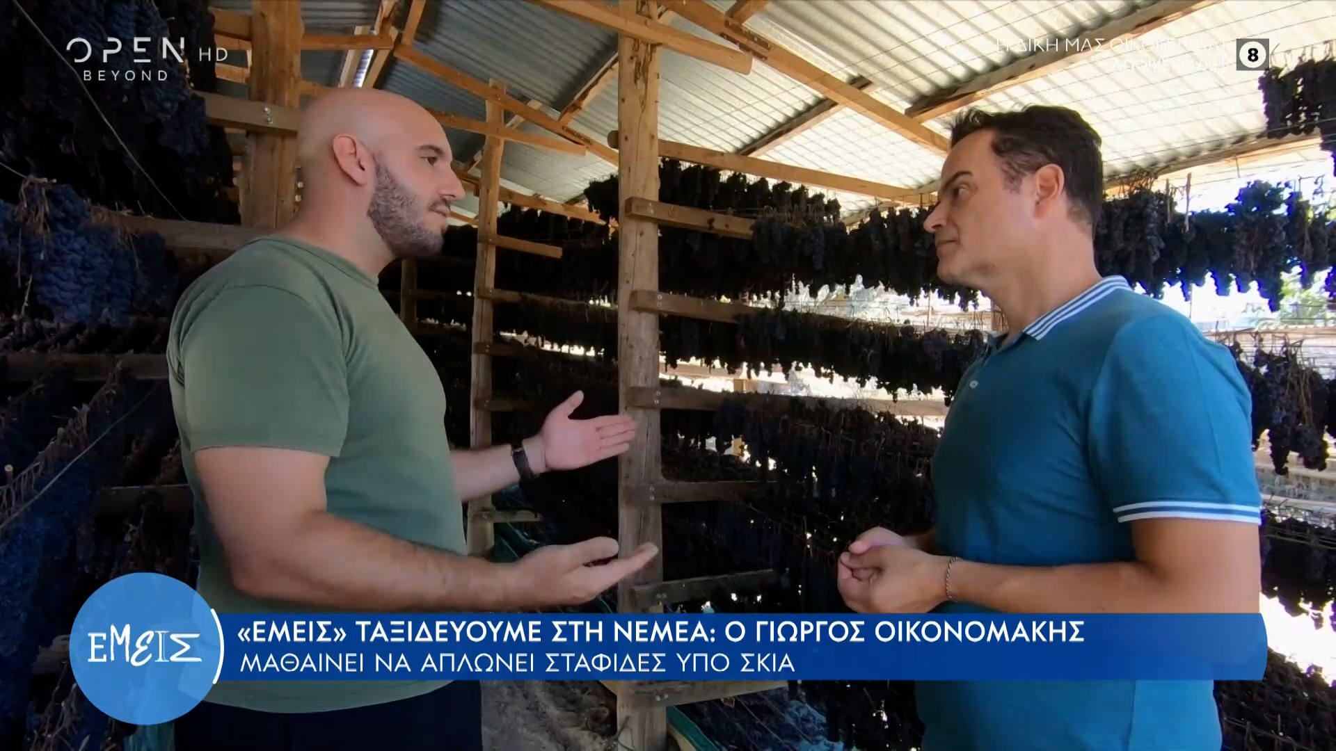 Νεμέα: Γιατί απλώνονται οι σταφίδες υπό σκιά | OPEN TV