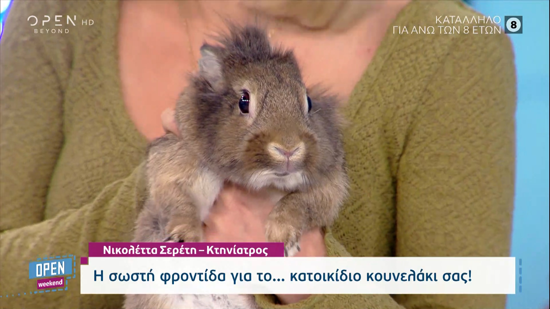 Η σωστή φροντίδα για το... κατοικίδιο κουνελάκι σας! | OPEN TV