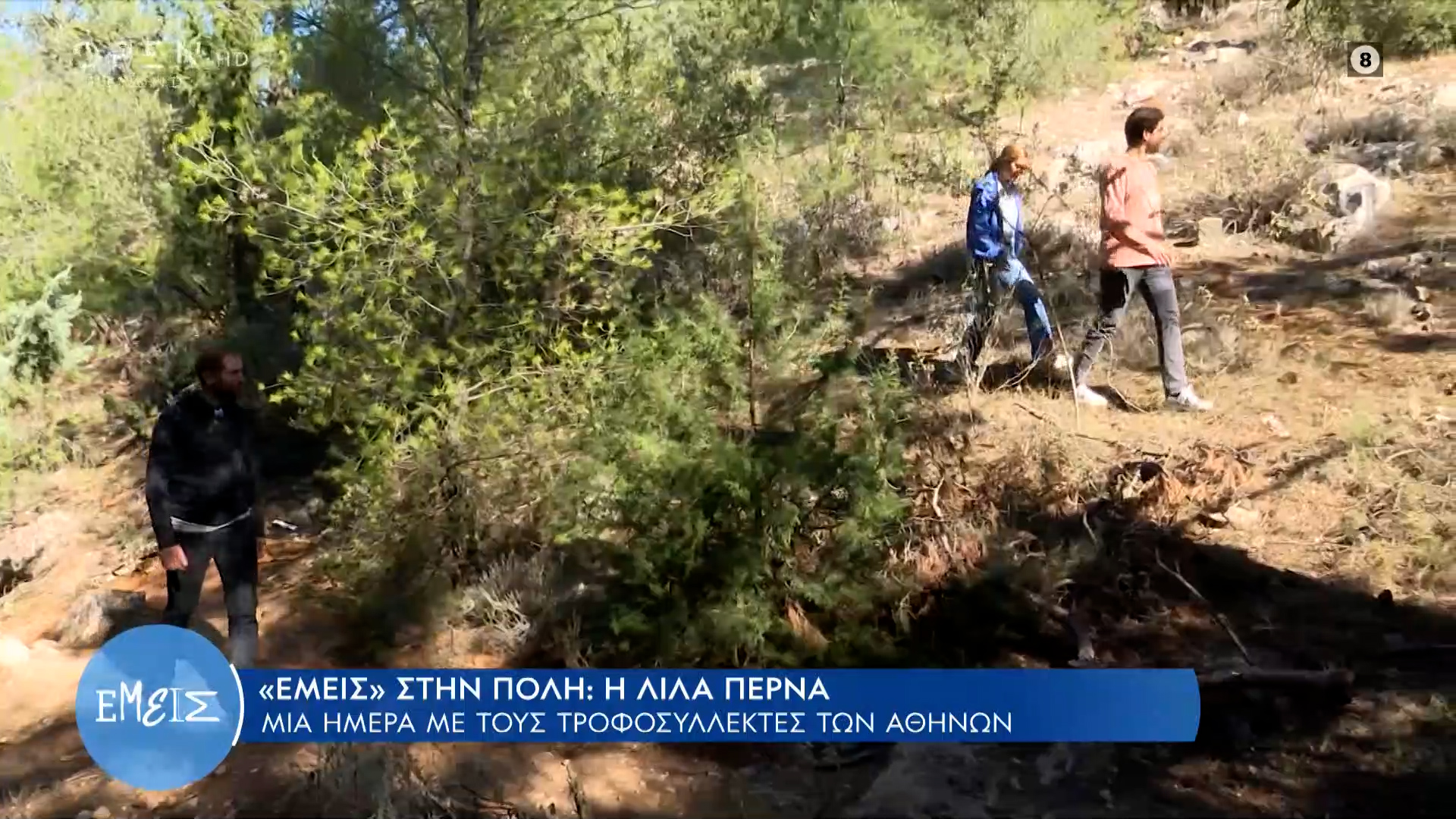 Μια ημέρα με τους τροφοσυλλέκτες των Αθηνών | OPEN TV