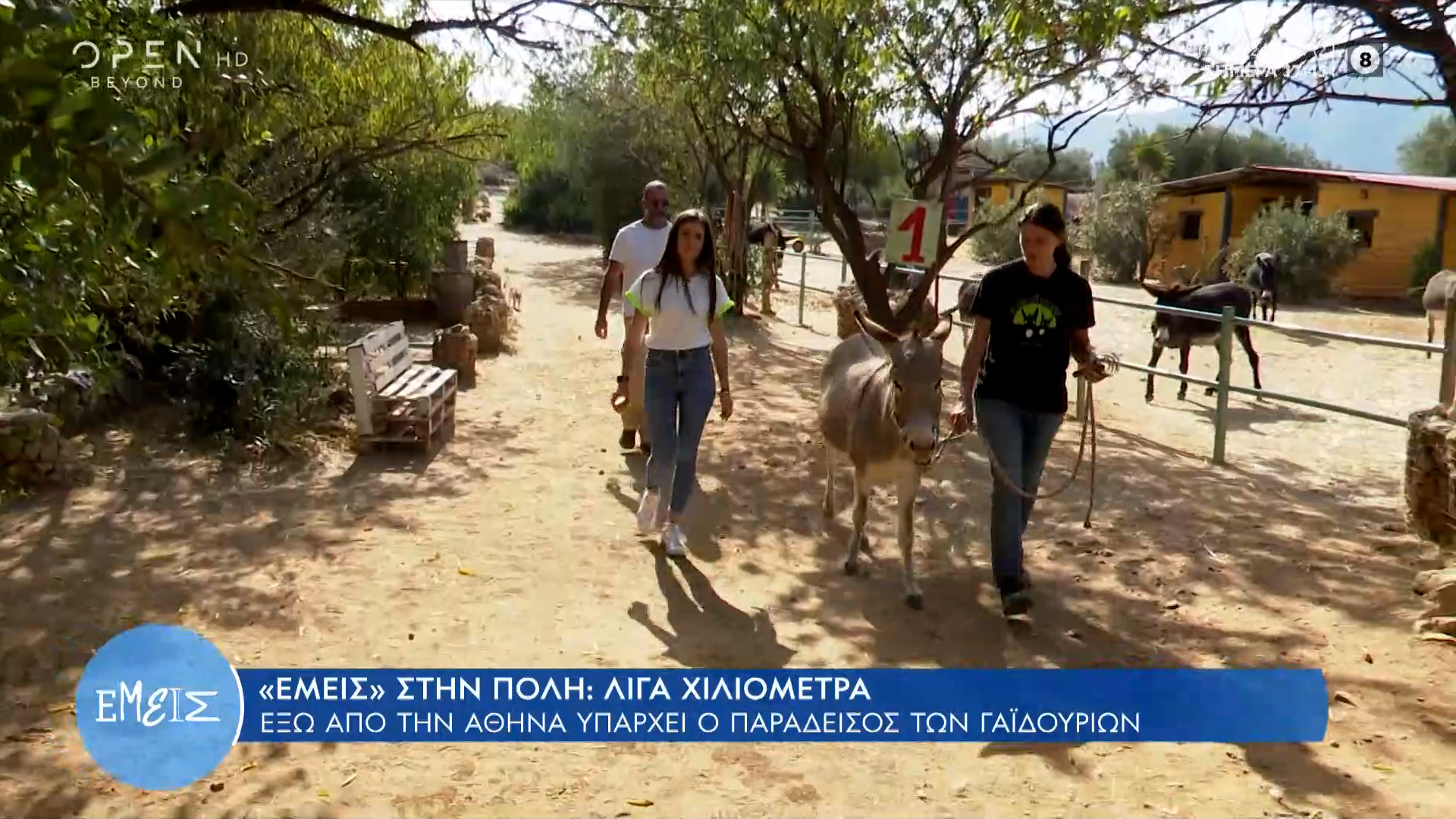 Λίγα χιλιόμετρα έξω από την Αθήνα υπάρχει ο παράδεισος των γαϊδουριών ...