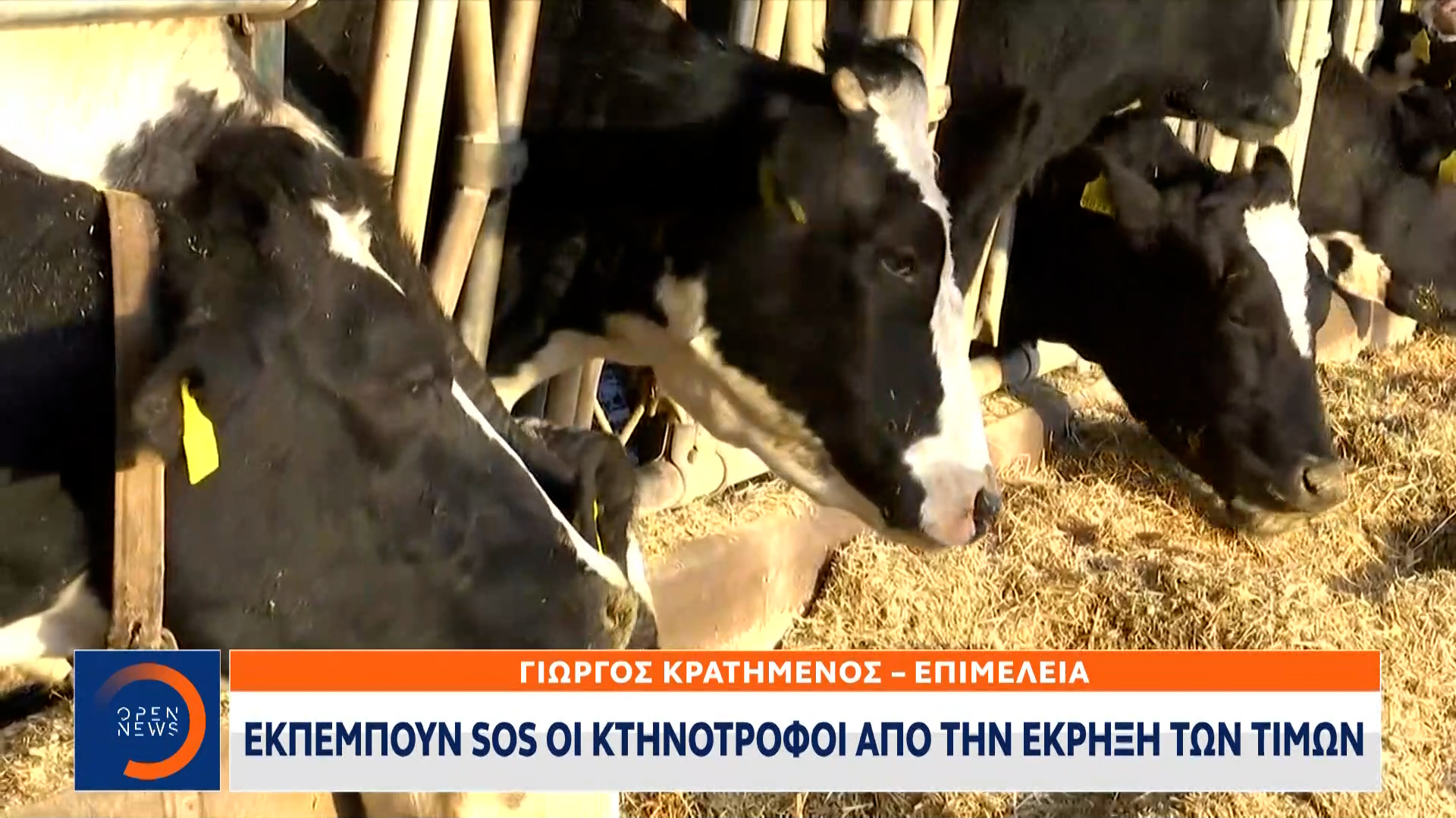 Εκπέμπουν SOS οι κτηνοτρόφοι από την έκρηξη των τιμών | OPEN TV