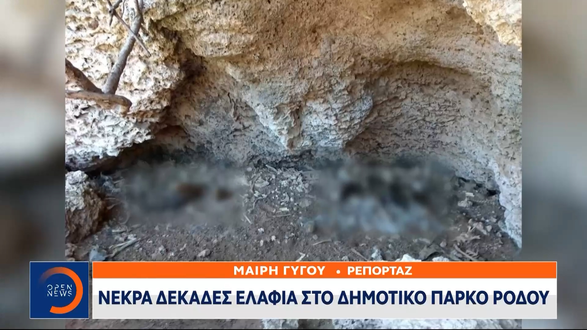 Νεκρά δεκάδες ελάφια στο δημοτικό πάρκο Ρόδου | OPEN TV