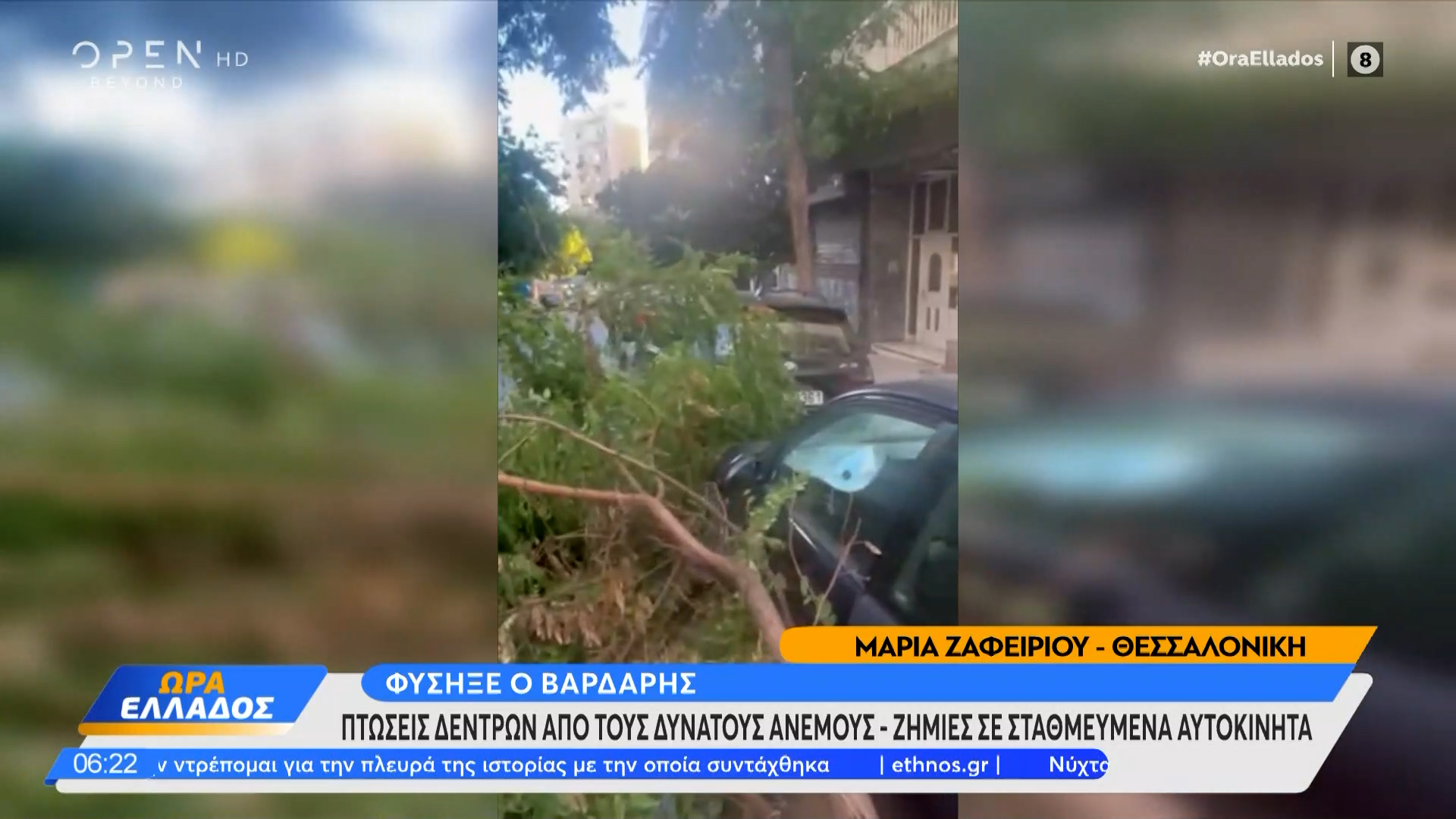 Θεσσαλονίκη: Ξεριζώθηκαν δέντρα λόγω των ισχυρών ανέμων - Ζημιές σε ...