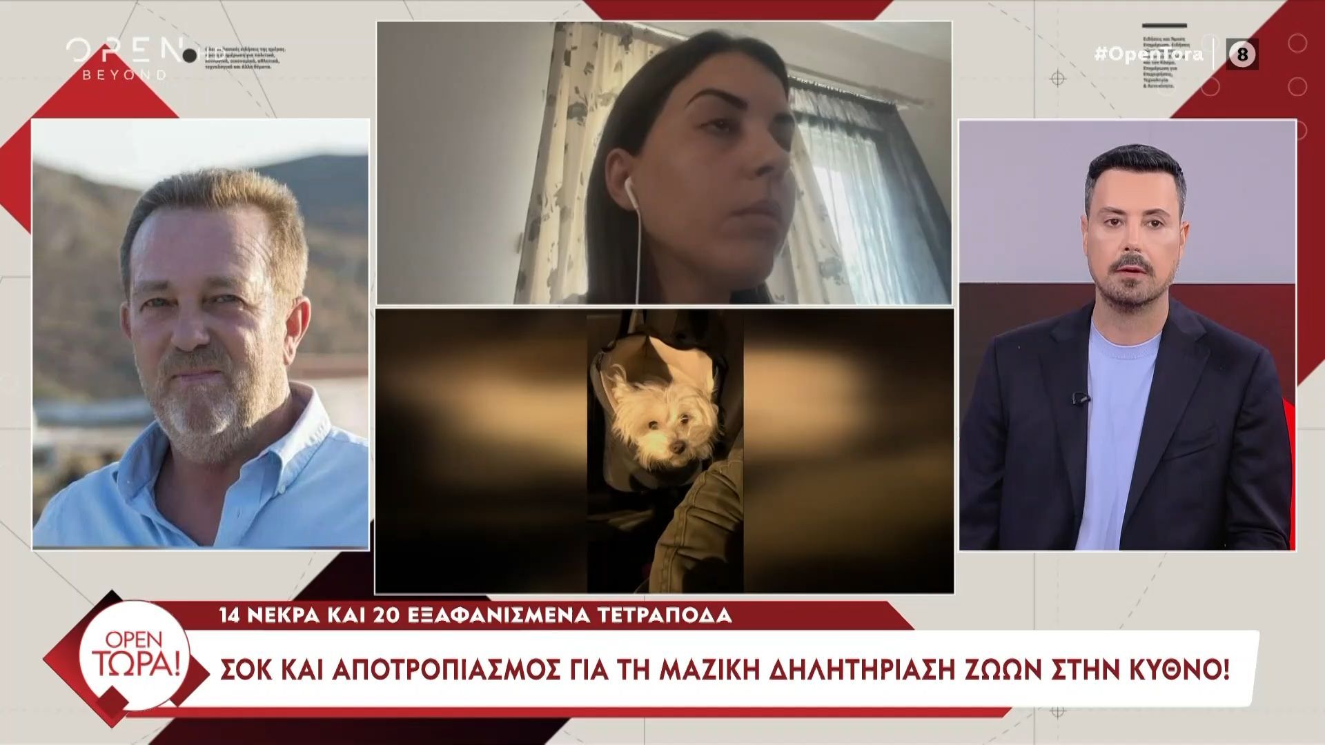 Στ. Γαρδέρης | Δημ. Κύθνου: «Δεν ισχύουν όσα καταγγέλλει η φιλοζωική ...