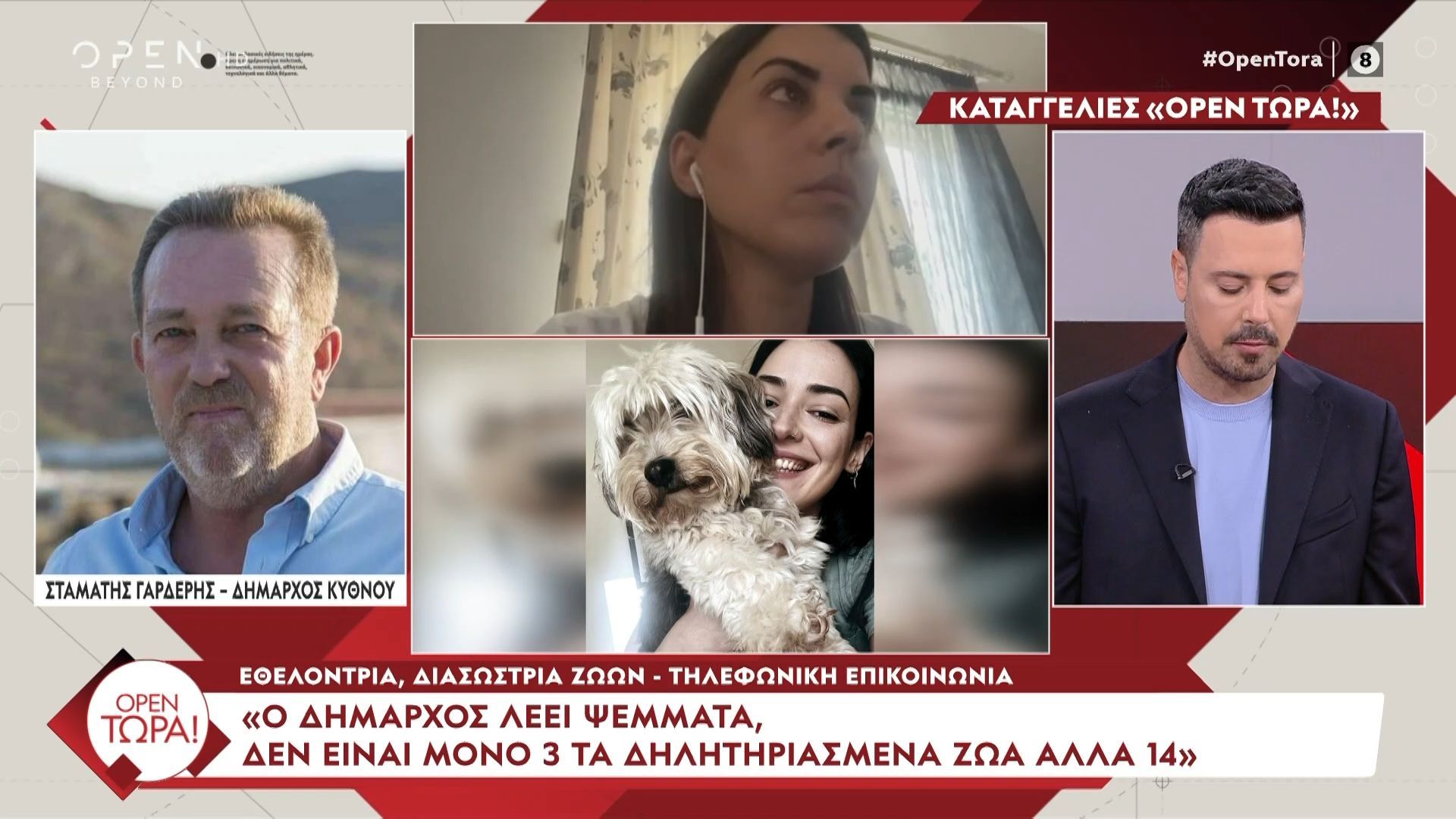 Εθελόντρια διασώστρια ζώων: «Ο δήμαρχος λέει ψέματα, δεν είναι μόνο ...