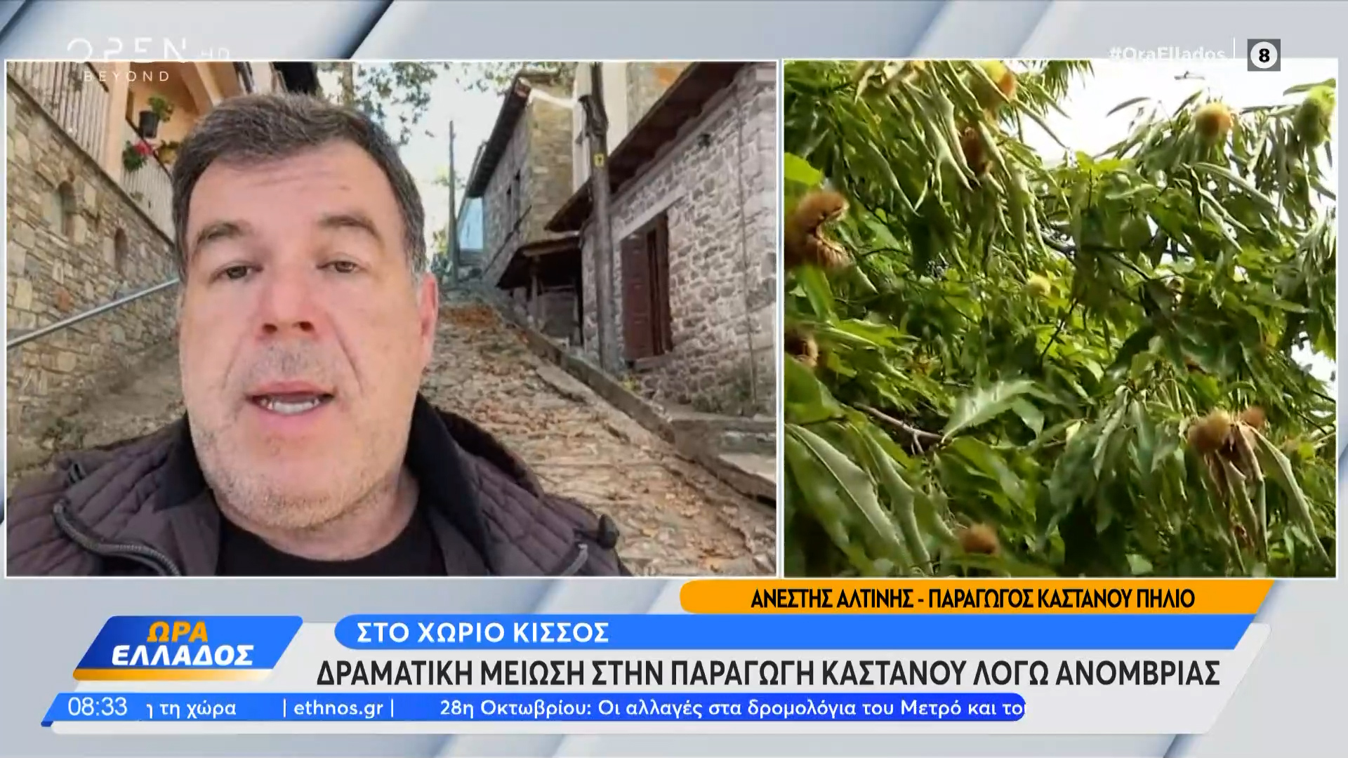 Δραματική μείωση στην παραγωγή κστάνου λόγω ανομβρίας | OPEN TV