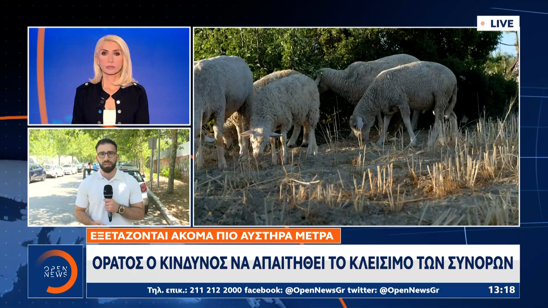 Πανώλη αιγοπροβάτων: Εξετάζονται ακόμα πιο αυστηρά μέτρα | OPEN TV