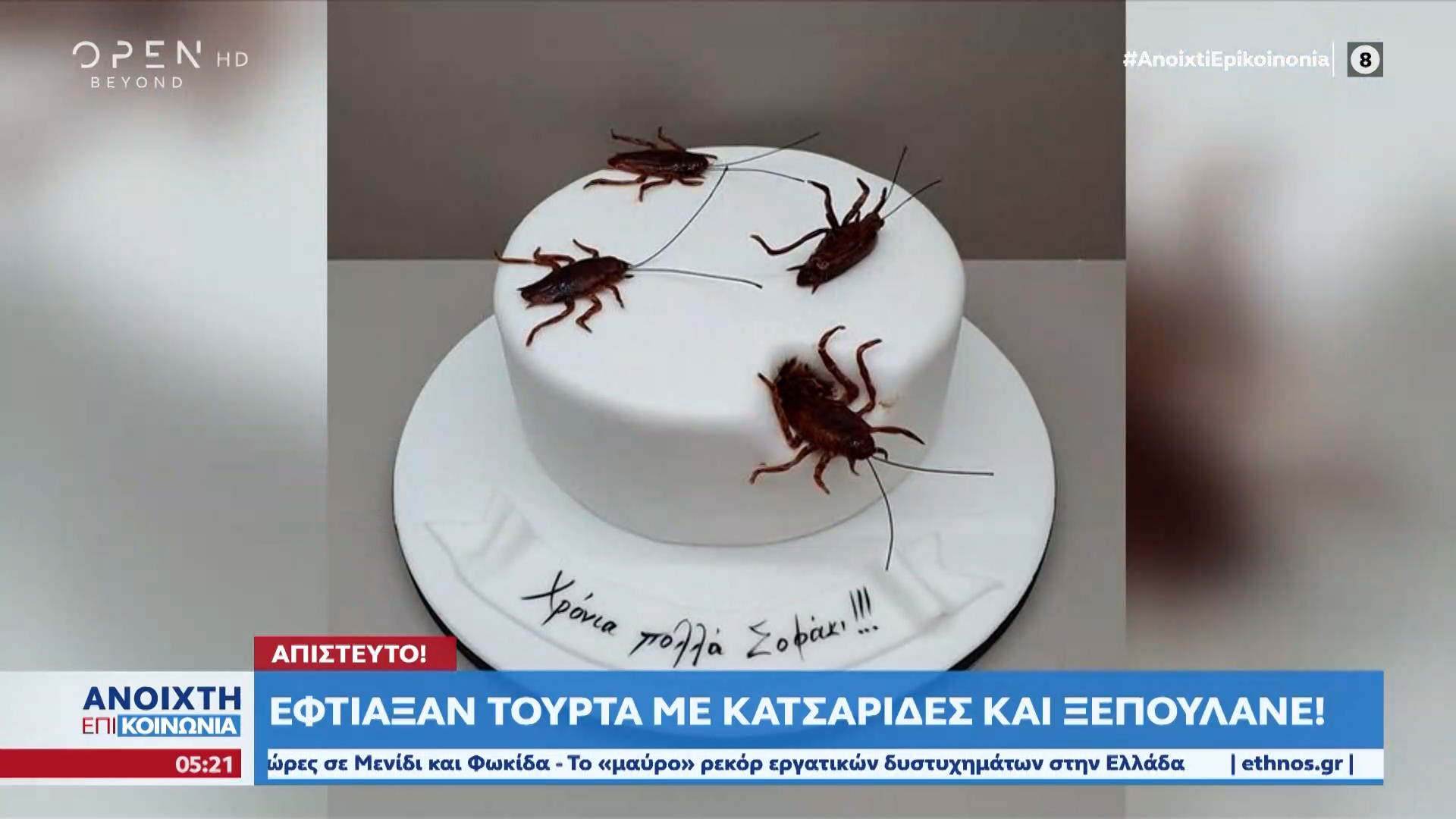 Απίστευτο: Έφτιαξαν τούρτα με κατσαρίδες και ξεπουλάνε | OPEN TV