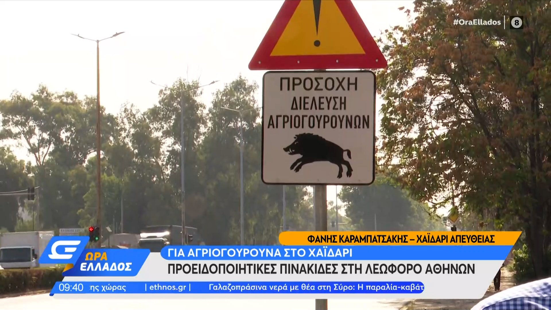 Για αγριογούρουνα στο Χαϊδάρι | OPEN TV