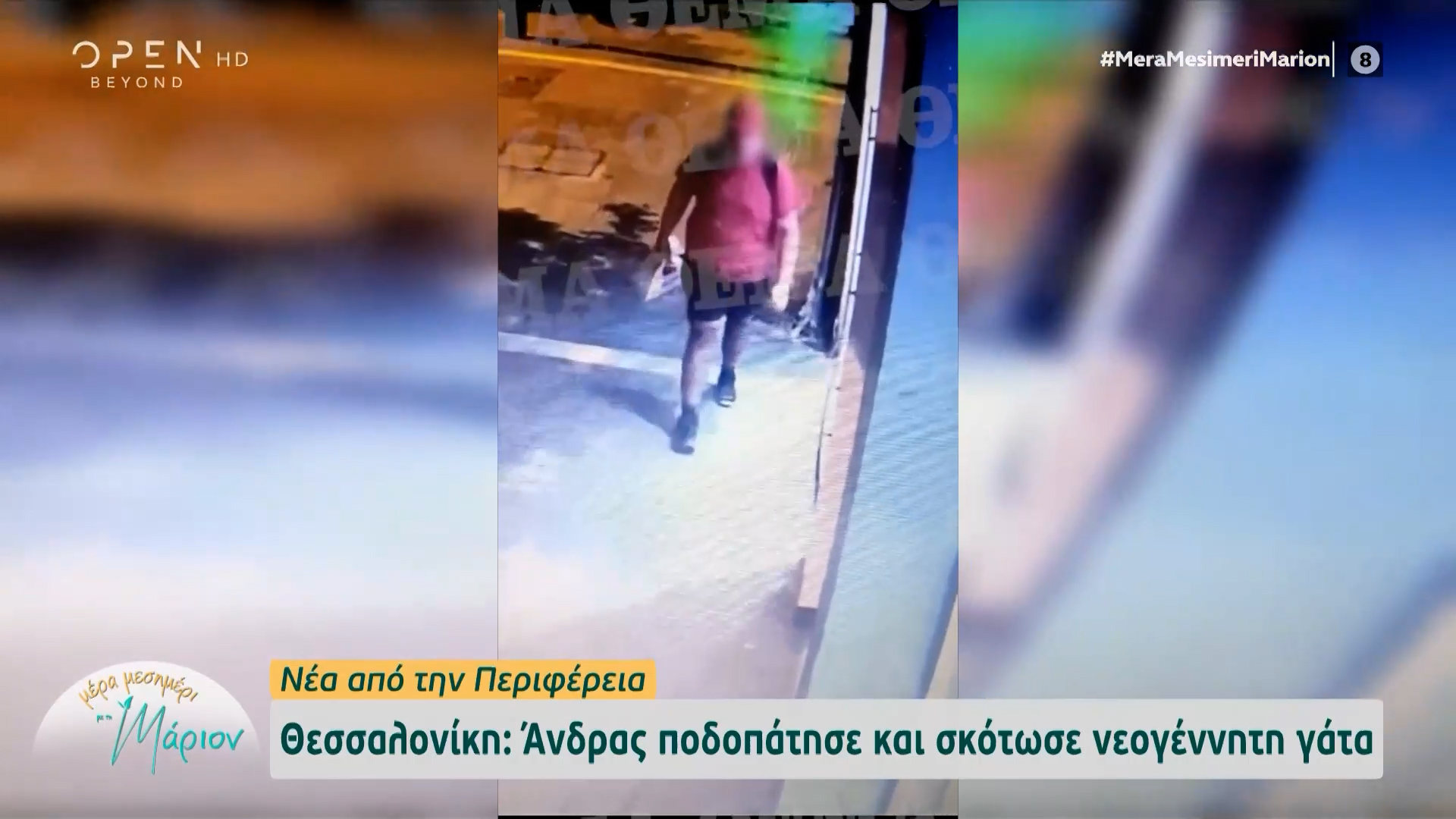 Σοκαριστικές εικόνες: Άνδρας ποδοπάτησε και σκότωσε νεογέννητη γάτα ...