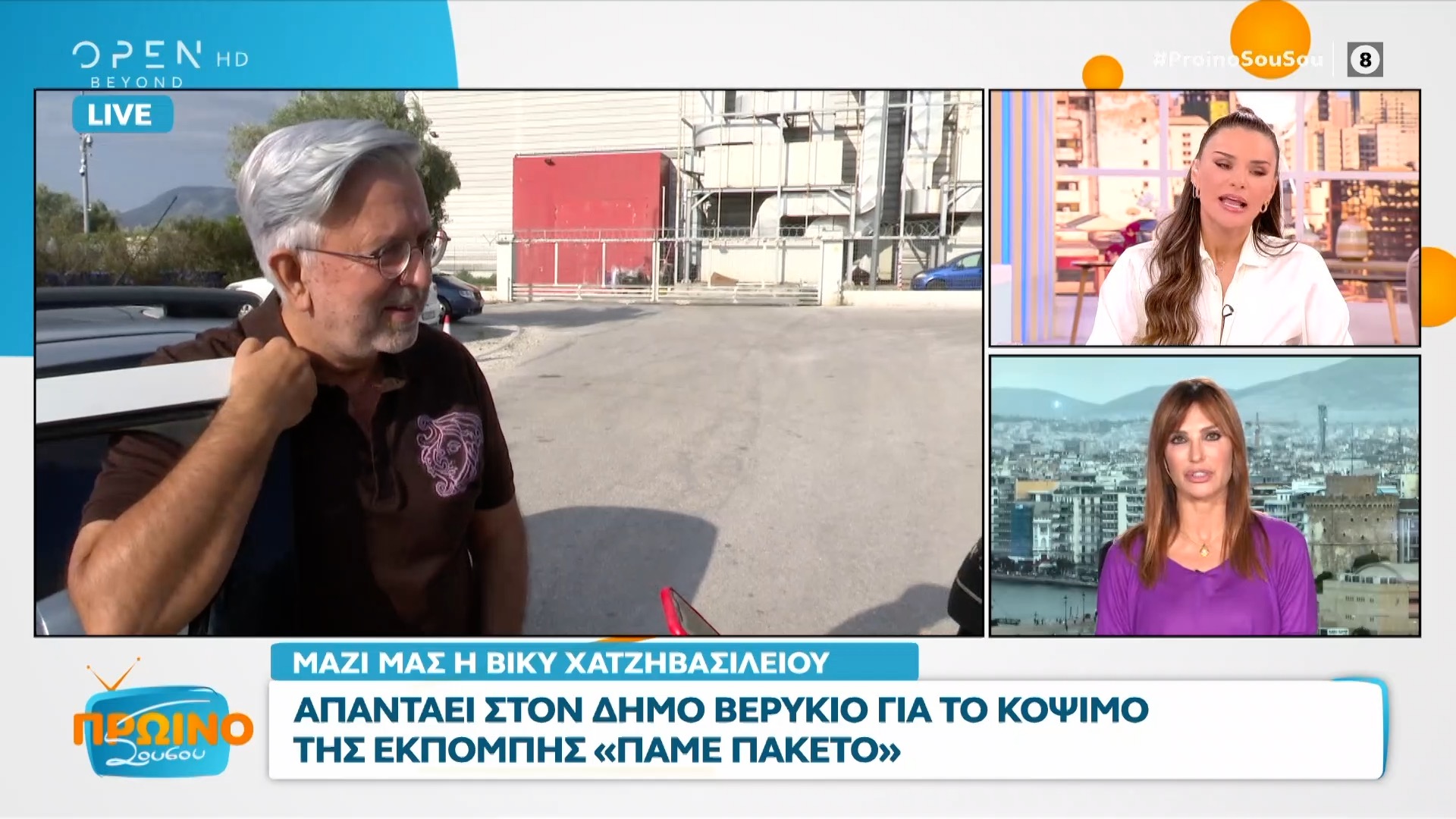 Η Βίκυ Χατζηβασιλείου απαντάει στον Δήμο Βερύκιου για το κόψιμο της ...