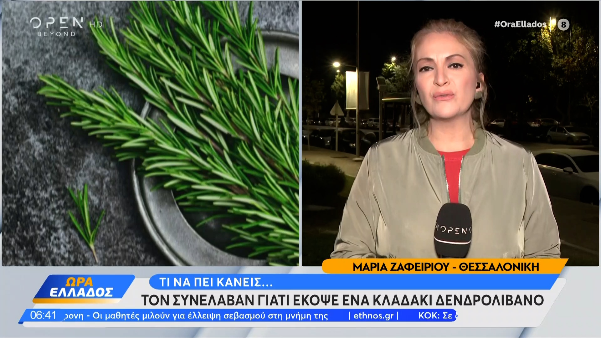 Θεσσαλονίκη: Συνταξιούχος έκοψε ένα κλαράκι δεντρολίβανο και οδηγήθηκε ...