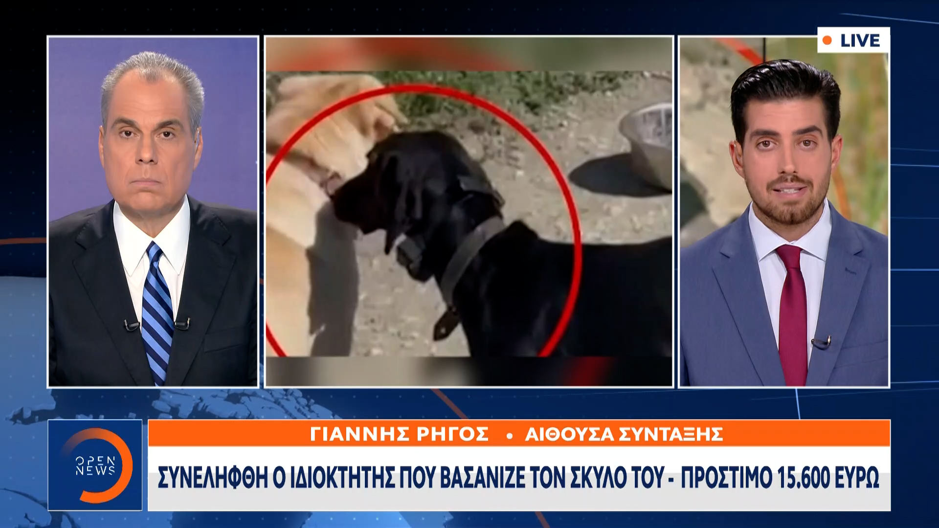 Κρήτη: Συνελήφθη ο ιδιοκτήτης που βασάνιζε τον σκύλο του – Πρόστιμο 15. ...