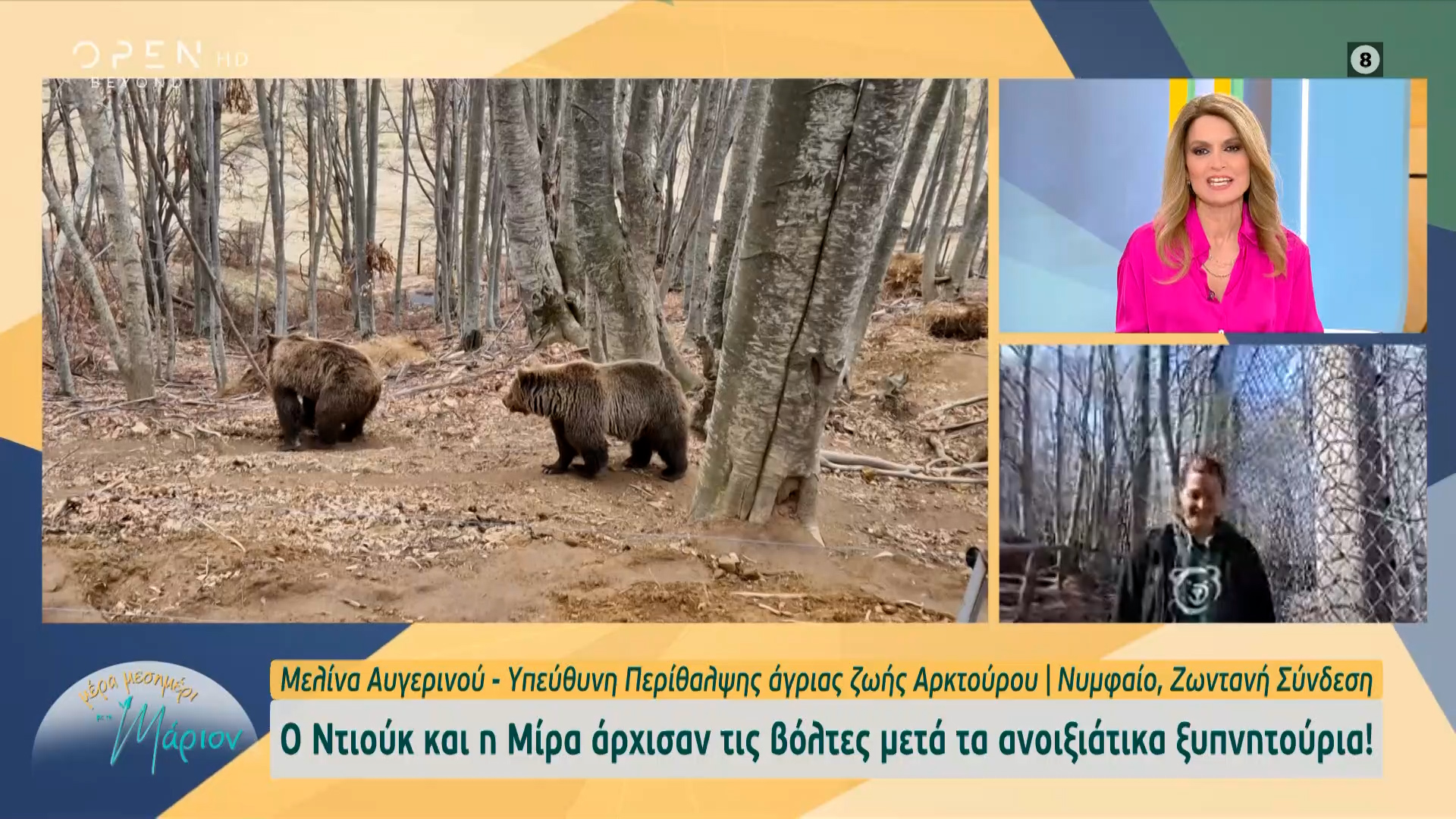 Η υπεύθυνη περίθαλψης άγριας ζωής Αρκτούρου μιλάει για τις αρκούδες που ...