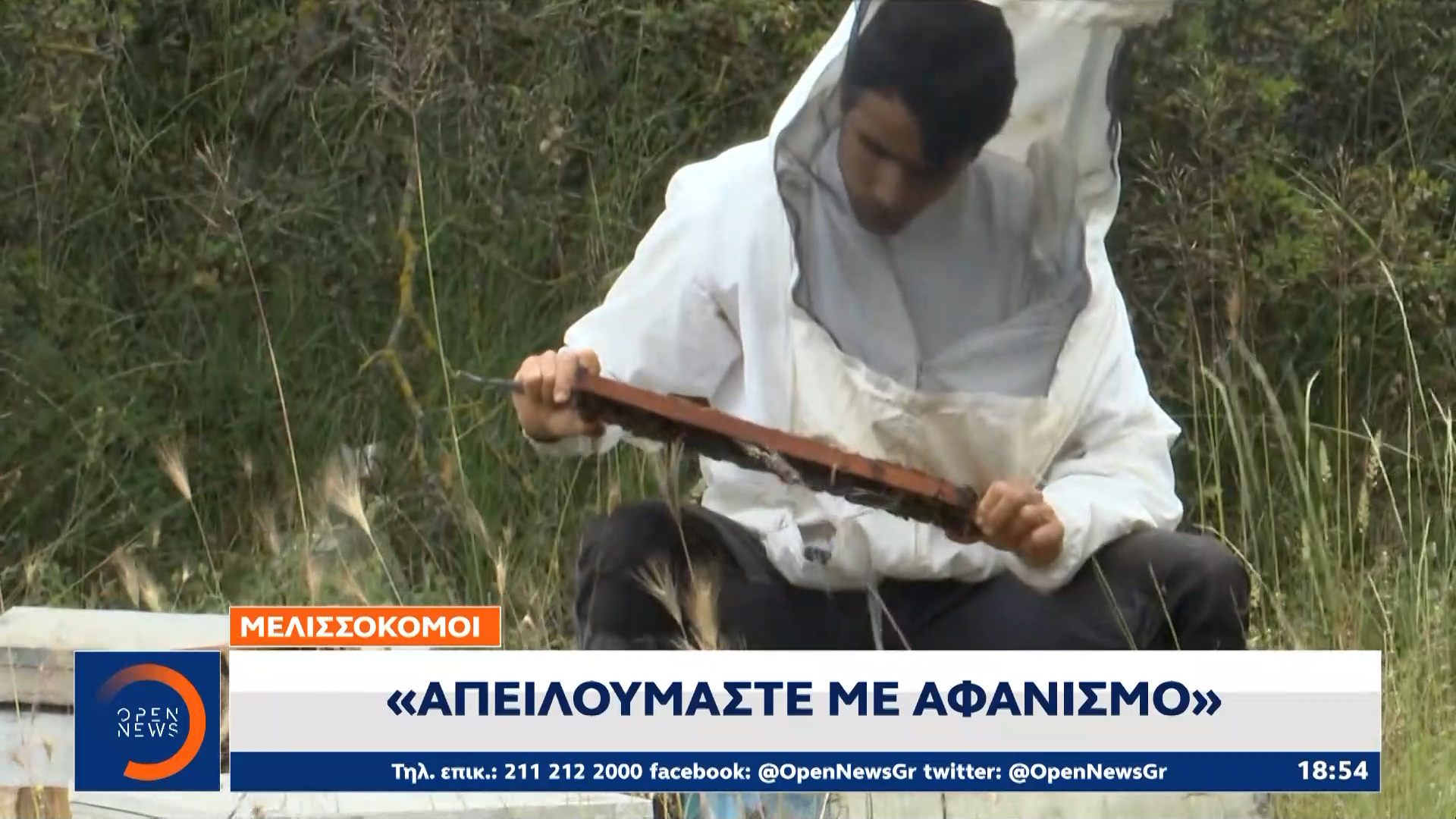 Μελισσοκόμοι: «Απειλούμαστε με αφανισμό» | OPEN TV