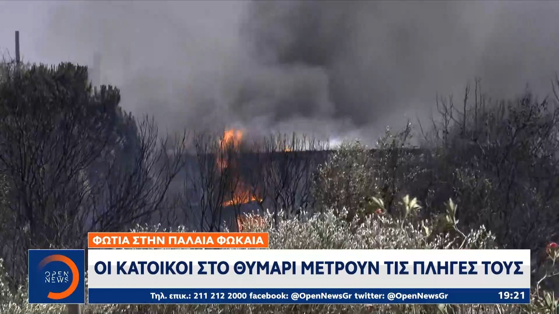 Φωτιά στην Παλαιά Φώκαια: Οι κάτοικοι στο Θυμάρι μετρούν τις πληγές ...