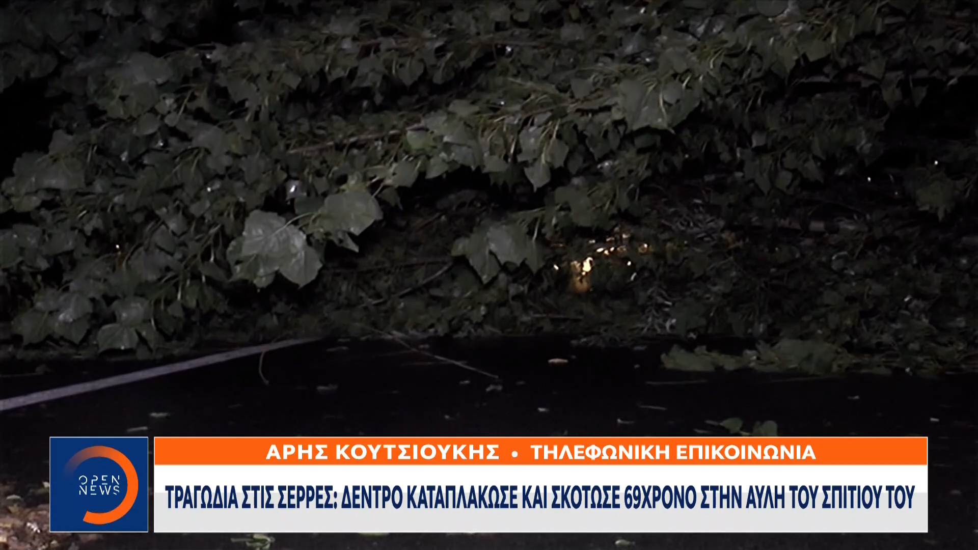 Σέρρες: Δέντρο καταπλάκωσε και σκότωσε 69χρονο στην αυλή του σπιτιού ...