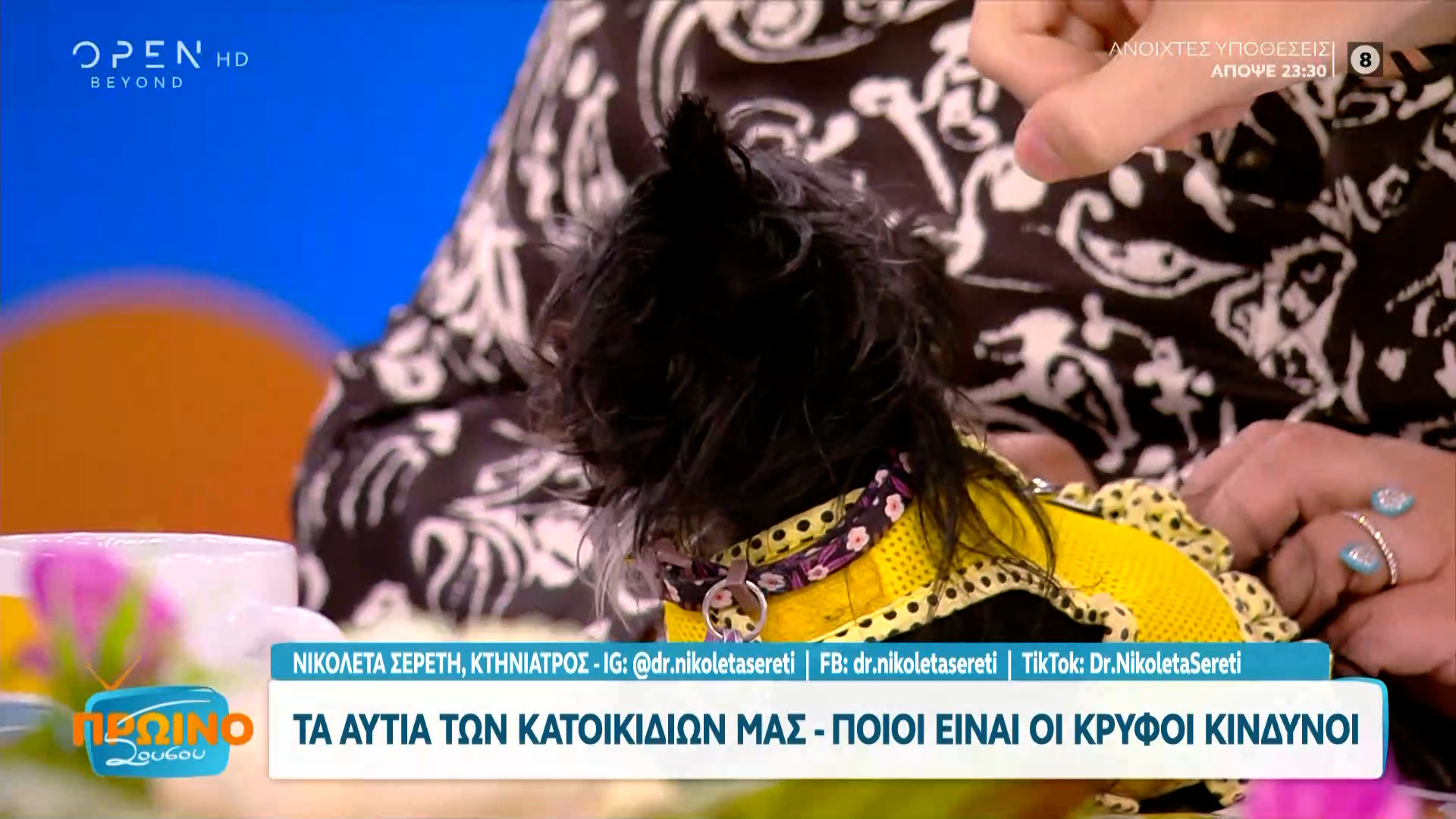 Τα αυτιά των κατοικιδίων μας - Ποιοι είναι οι κρυφοί κίνδυνοι | OPEN TV