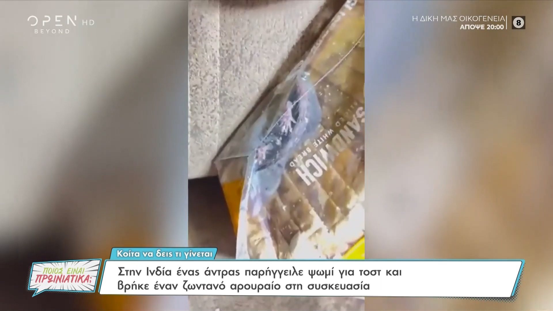 Στην Ινδία ένας άντρας παρήγγειλε ψωμί για τοστ και βρήκε έναν ζωντανό ...