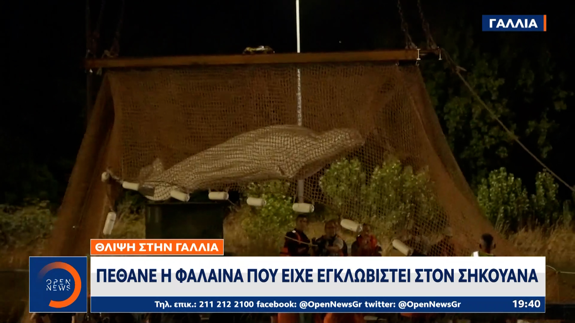 Θλίψη στη Γαλλία: Πέθανε η φάλαινα που είχε εγκλωβιστεί στον Σηκουάνα ...