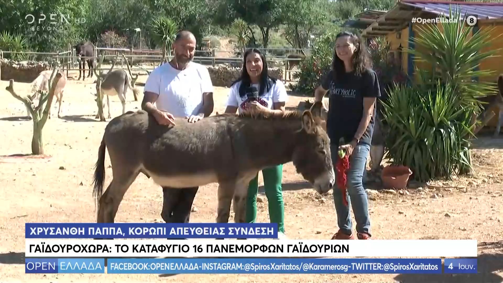 Γαϊδουροχώρα: Το καταφύγιο 16 πανέμορφων γαϊδουριών | OPEN TV