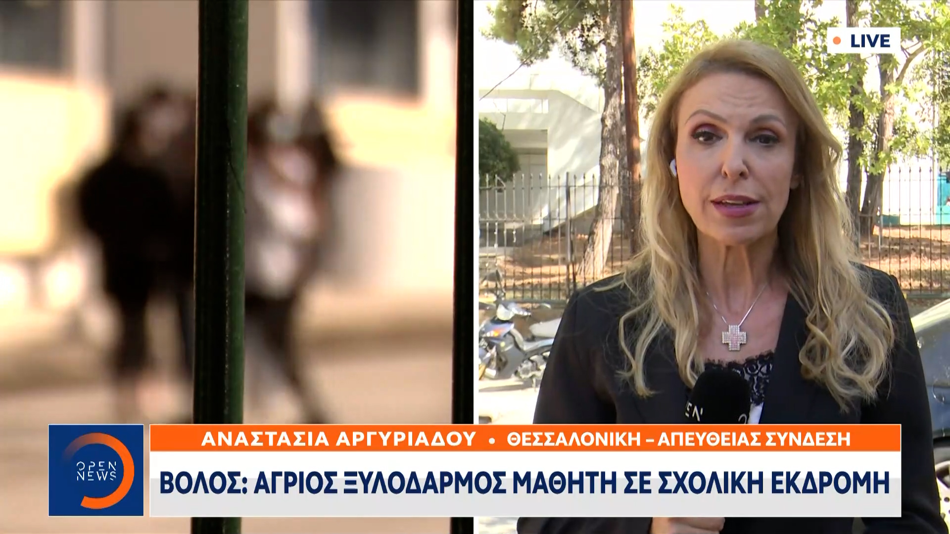 Θύμα άγριου ξυλοδαρμού μαθητής στον Βολο- Του έσπασαν τα δόντια | OPEN TV