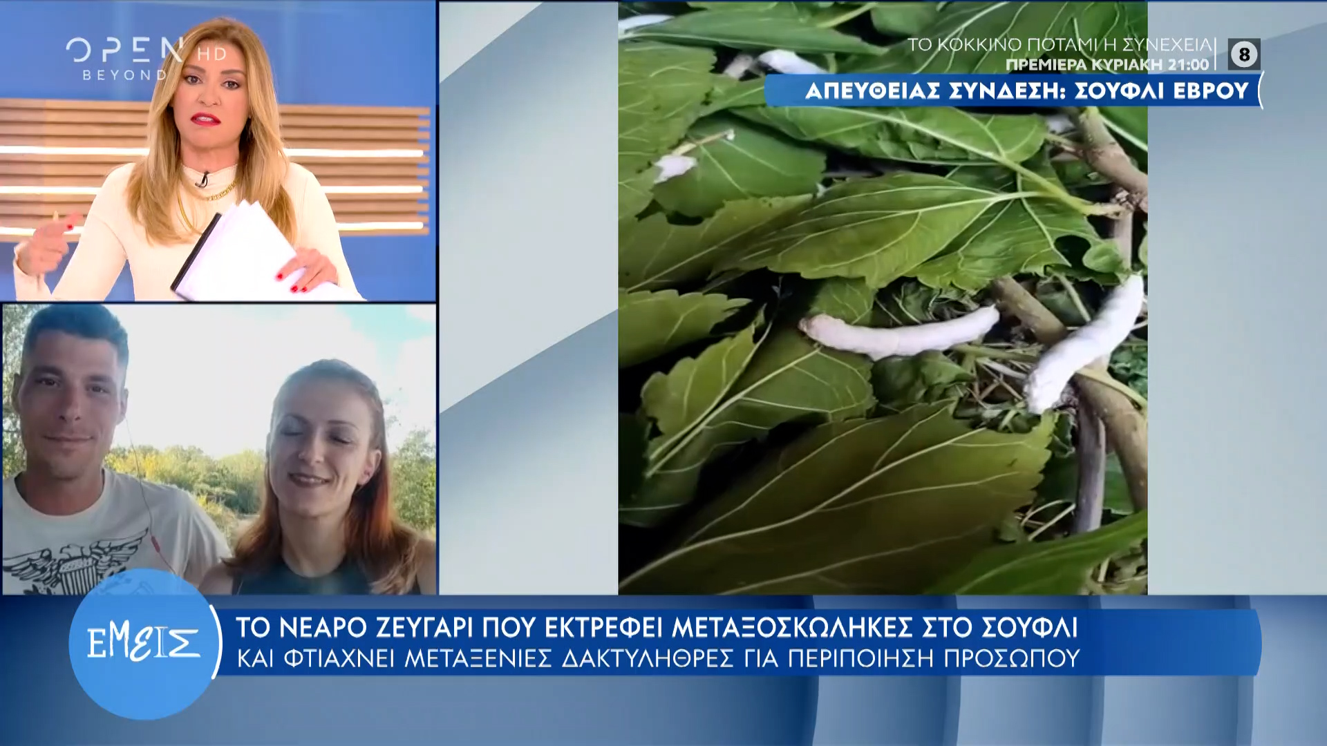 Σουφλί: Εκτροφή μεταξοσκώληκα για προϊόντα ομορφιάς | OPEN TV